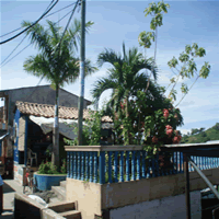 nechi antioquia: FOTOS